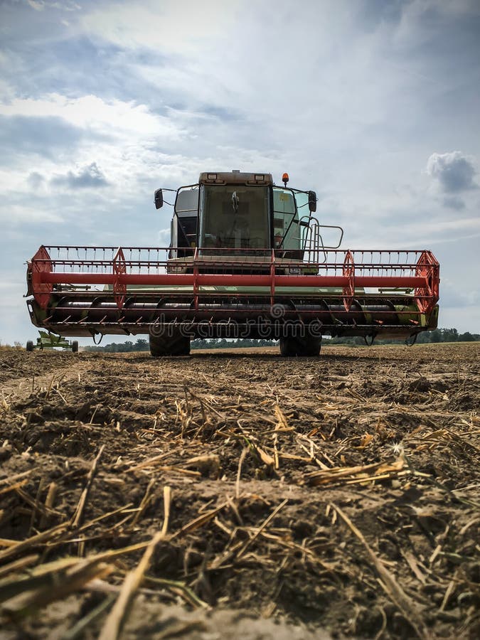 Combine Harvesting on Farm Field Stock Image - Image of grain ...