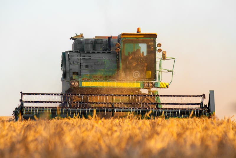 Combine is Harvesting Oats on Farm Field Editorial Photo - Image of ...