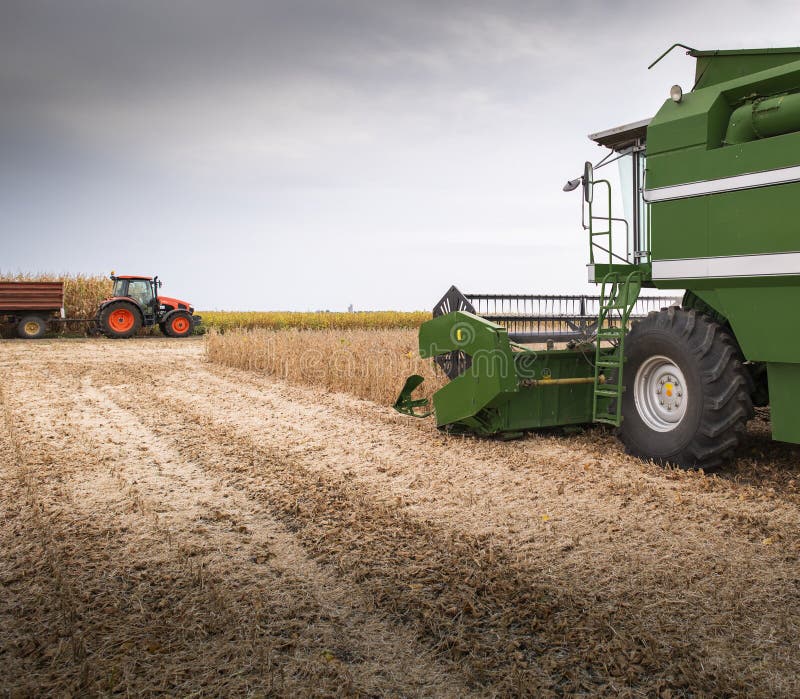 Harvesting of Soybean Field with Combine Stock Photo - Image of ripe ...