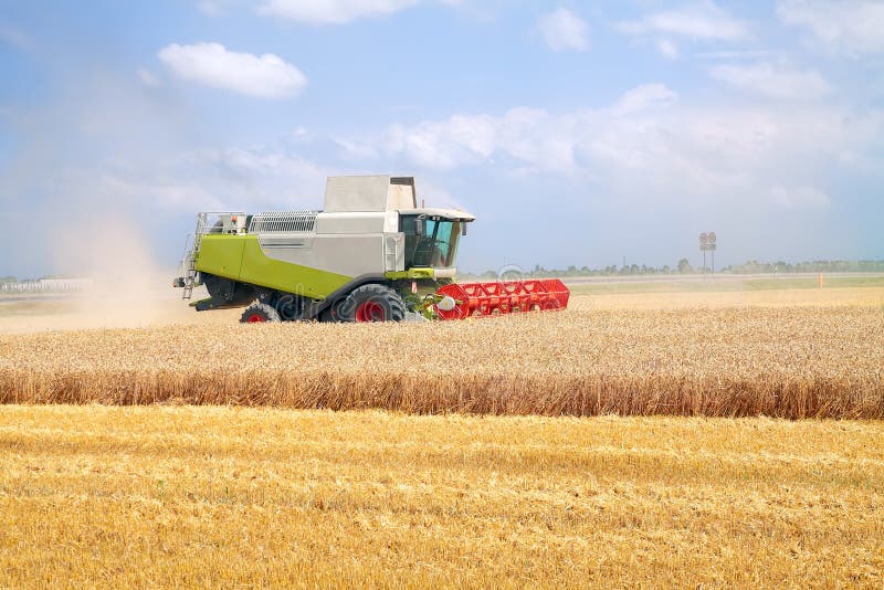 Combine for Harvesting Wheat Stock Image - Image of grow, dust: 15366487