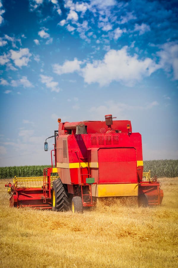 Combine harvesting wheat stock photo. Image of flour - 25505796