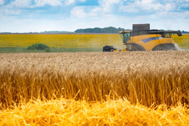 Combine Harvesting Wheat in the Palouse Hills Editorial Stock Photo ...