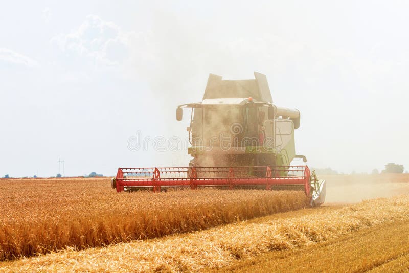 Combine Harvesting a Wheat Field. Combine Working the Field Stock Photo ...