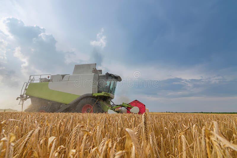 Combine Harvesting a Wheat Field. Combine Working the Field Stock Photo ...
