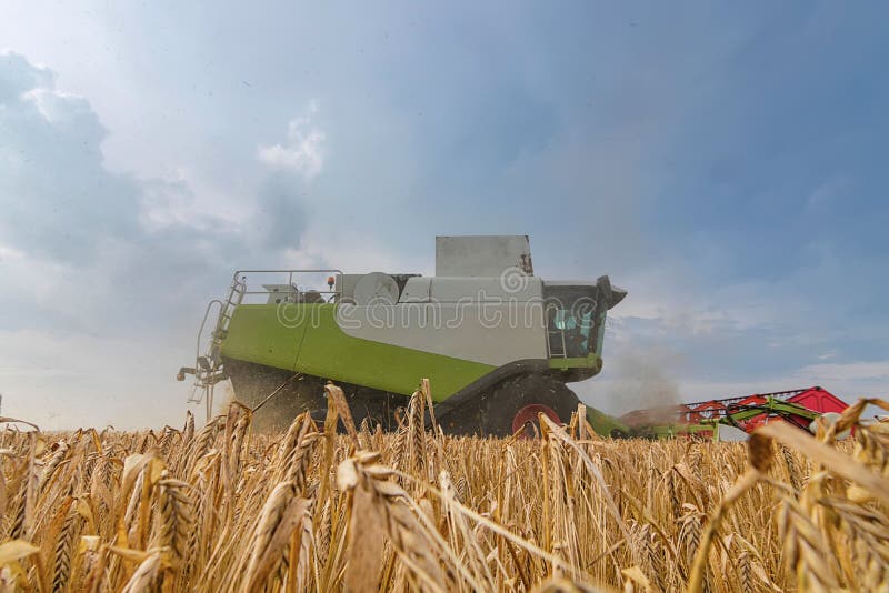 Combine Harvesting a Wheat Field. Combine Working the Field Stock Image ...