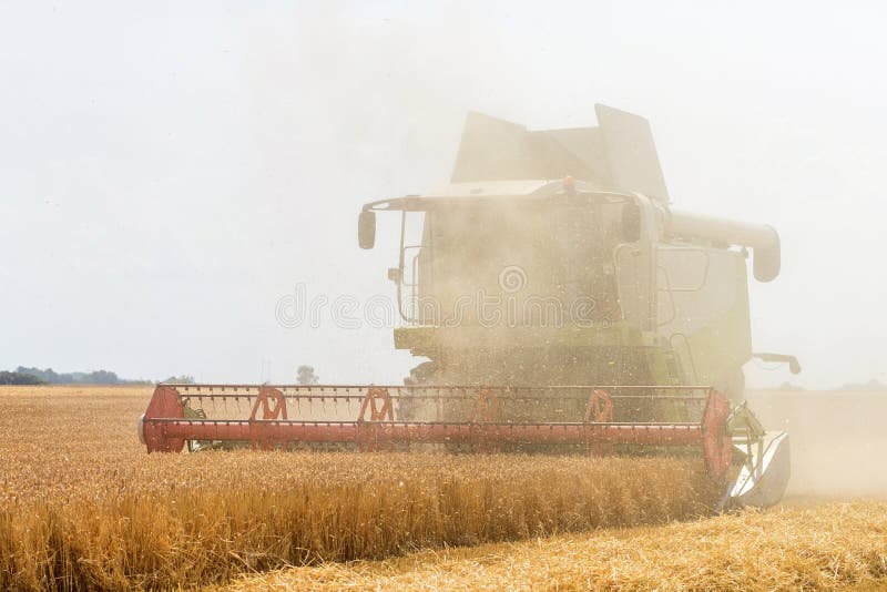 Combine Harvesting a Wheat Field. Combine Working the Field Stock Photo ...