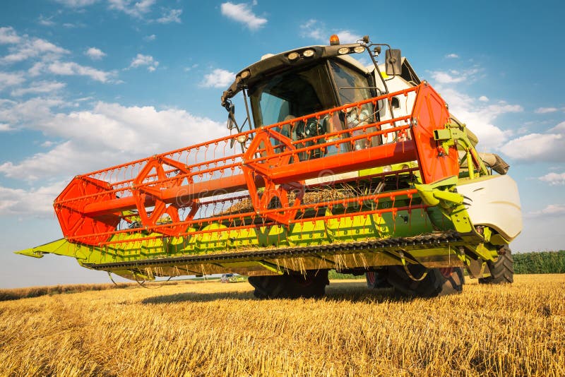 Combine harvesting wheat stock photo. Image of country - 41860088