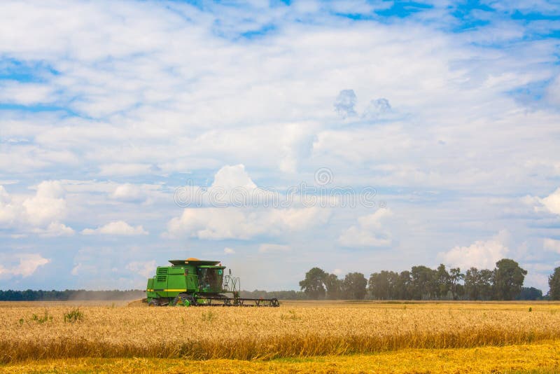 Combine Harvesting Wheat Plants in the Field Stock Image - Image of ...