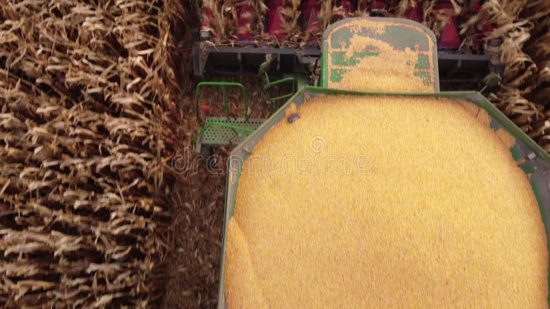 Combine Hopper Filled with Corn Stock Footage - Video of combine ...