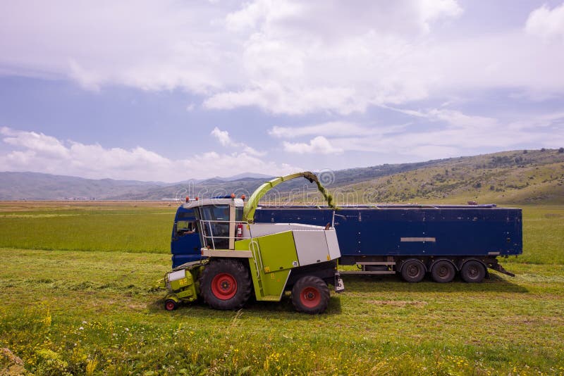 Combine Machine Loading Bunker of the Truck Stock Photo - Image of ...
