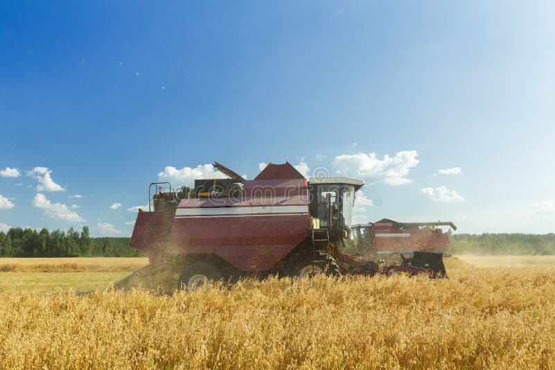 Combine Machine with Reel and the Cutter Bar Working in Farm Field ...