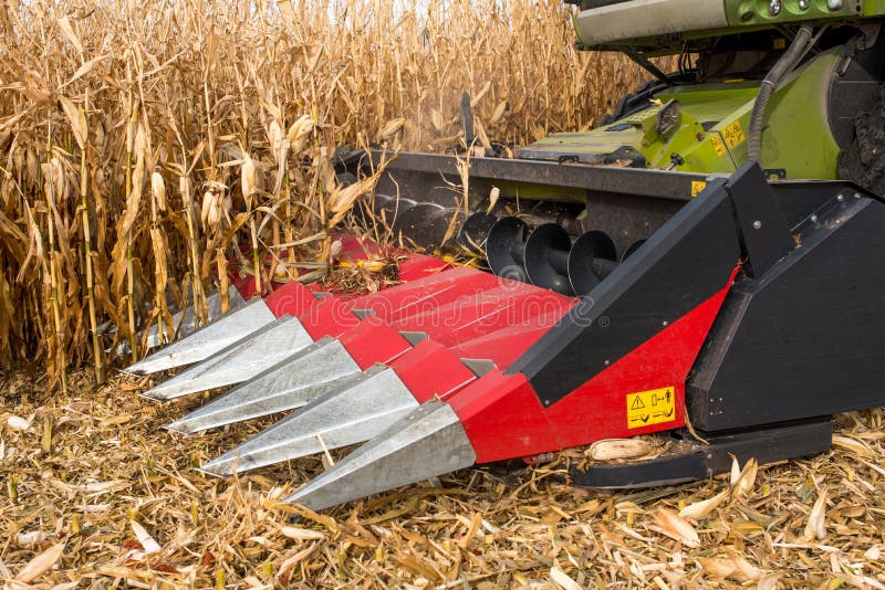 Corn Harvesters, Combine Red Harvester Close Up Working in a Corn Field ...