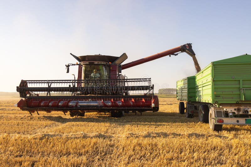 Combine Transferring Wheat into a Trailer after Harvest Stock Image ...