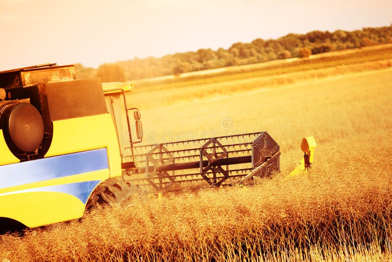 Combine working in fields stock image. Image of agronomy - 74949335