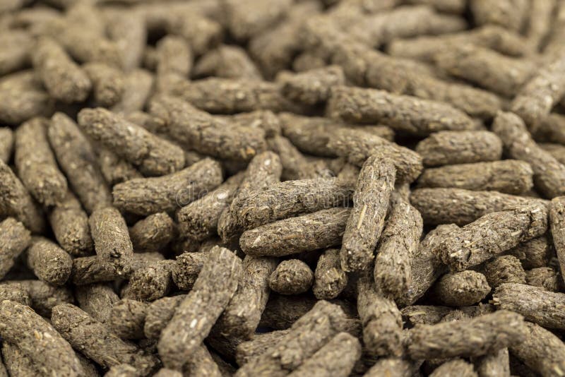 Combined Healthy Food for Rodent Breeding Stock Image - Image of ...