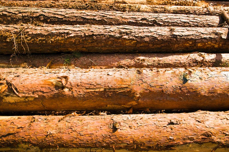 Row logs stock photo. Image of fiber, hack, foothills - 125130140