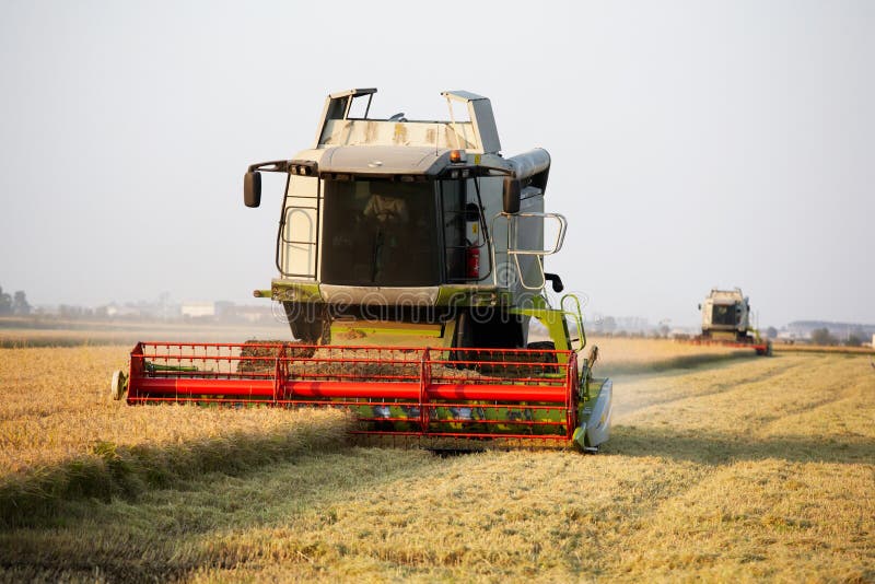 Combines stock image. Image of field, harvest, meadow - 6661889