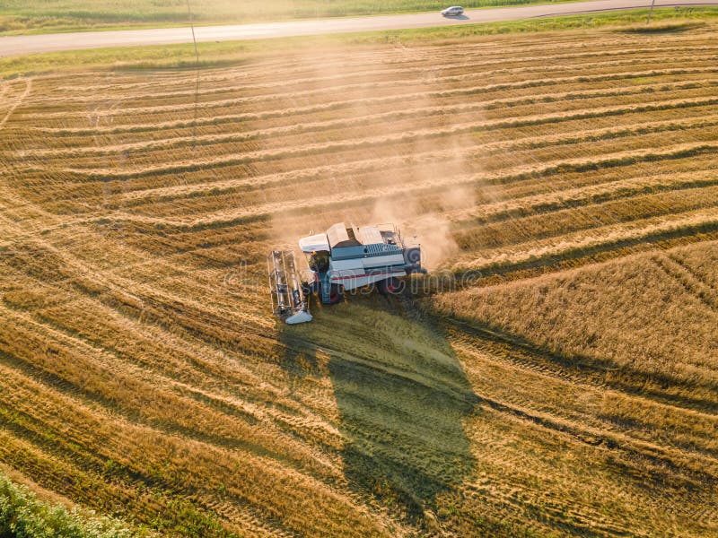 Combines in the Field. Aerial View of Harvesters Stock Image - Image of ...