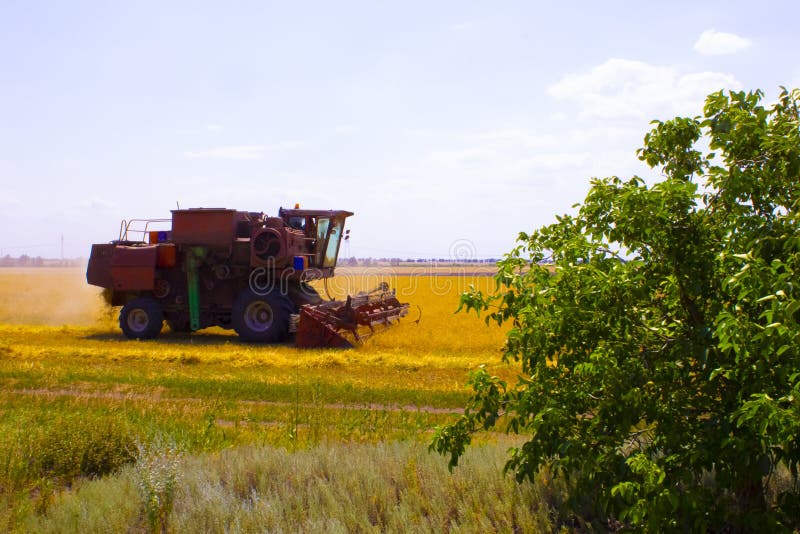 Combines at field stock photo. Image of growth, farming - 190903532