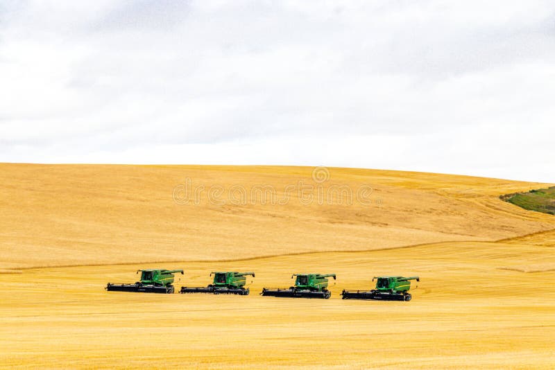 Combines Lined Up in a Field. Wheatland County, Alberta, Canada Stock ...
