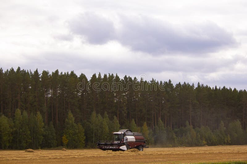 Combines and Tractors are Working in the Fields Stock Photo - Image of ...