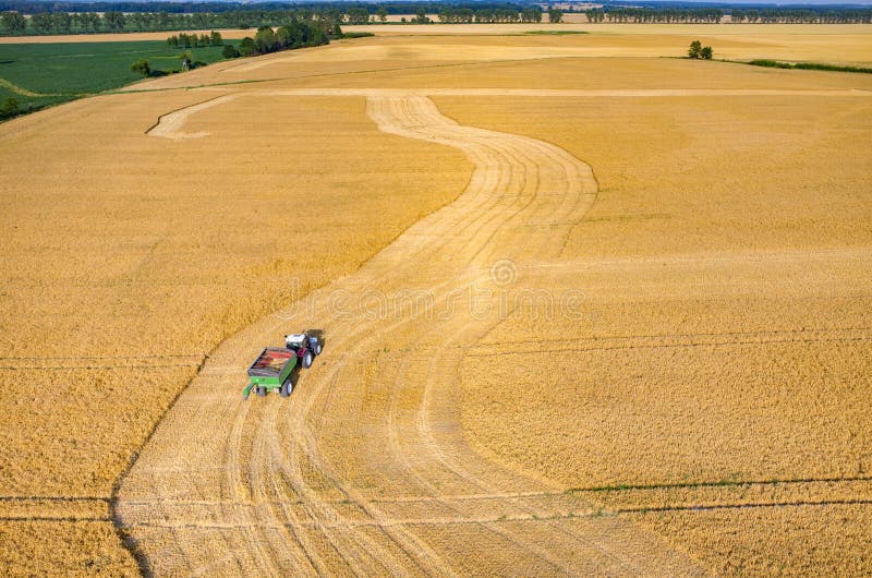 Combines and Tractors Working on the Wheat Field Stock Image - Image of ...