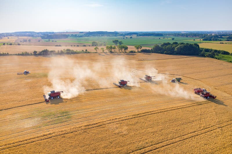 Combines and Tractors Working on the Wheat Field Stock Photo - Image of ...