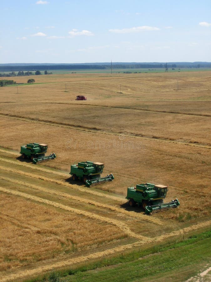 Combines at work stock image. Image of corn, harvesting - 3272755