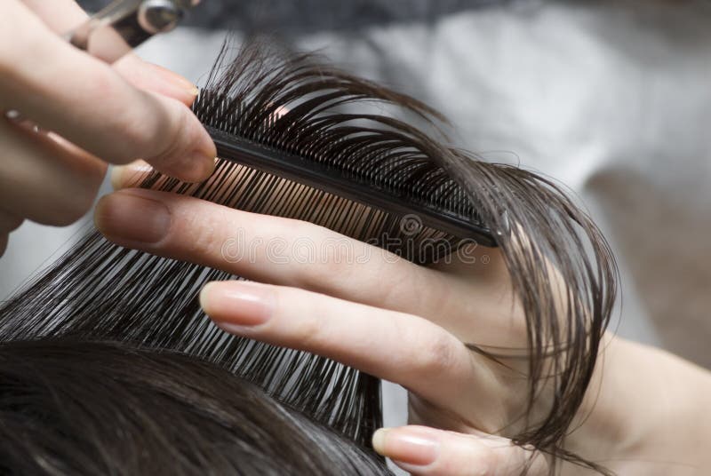 Combing stock image. Image of haircutting, female, haircut - 7238677