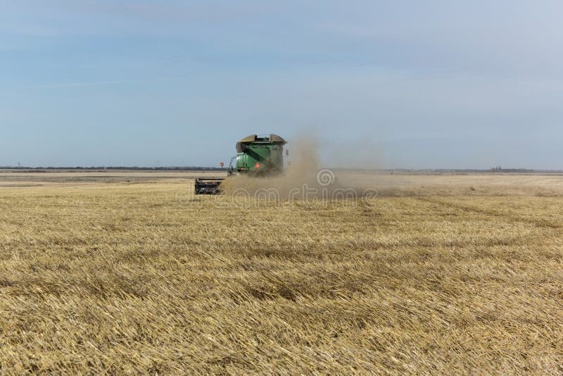 Combining stock image. Image of farm, agricultural, crop - 60831353
