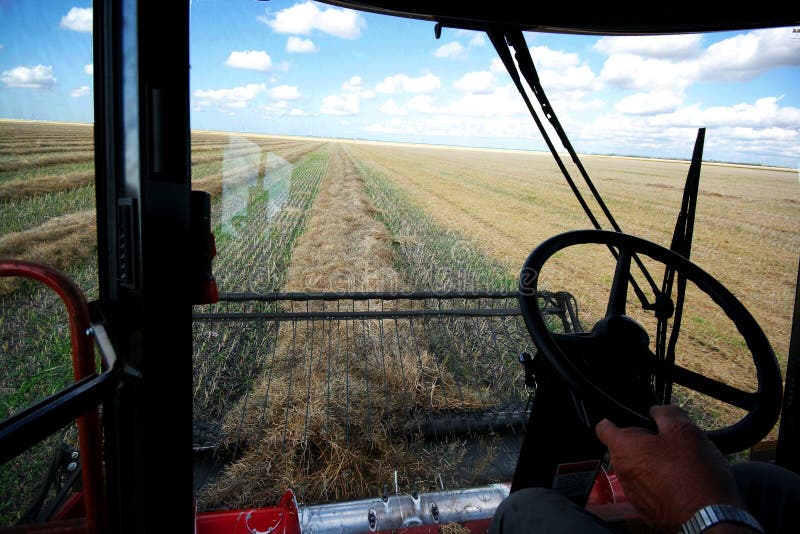 Combining a Grain Field stock photo. Image of prairies - 44408294