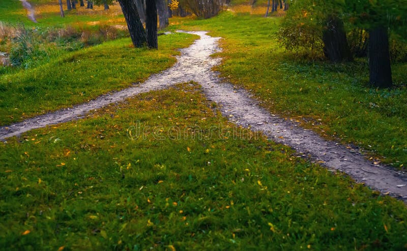 Combining Paths. in the Park, Two Paths Have Merged into One ...