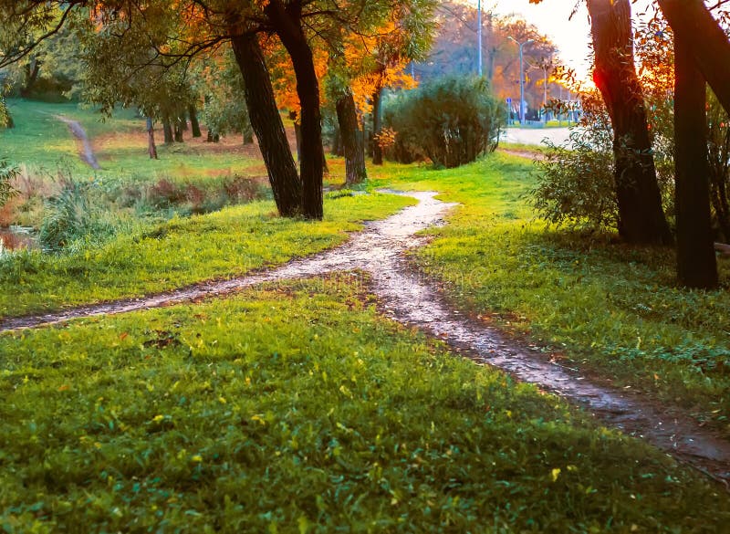 Combining Paths. in the Park, Two Paths Merged into One. Conceptual ...