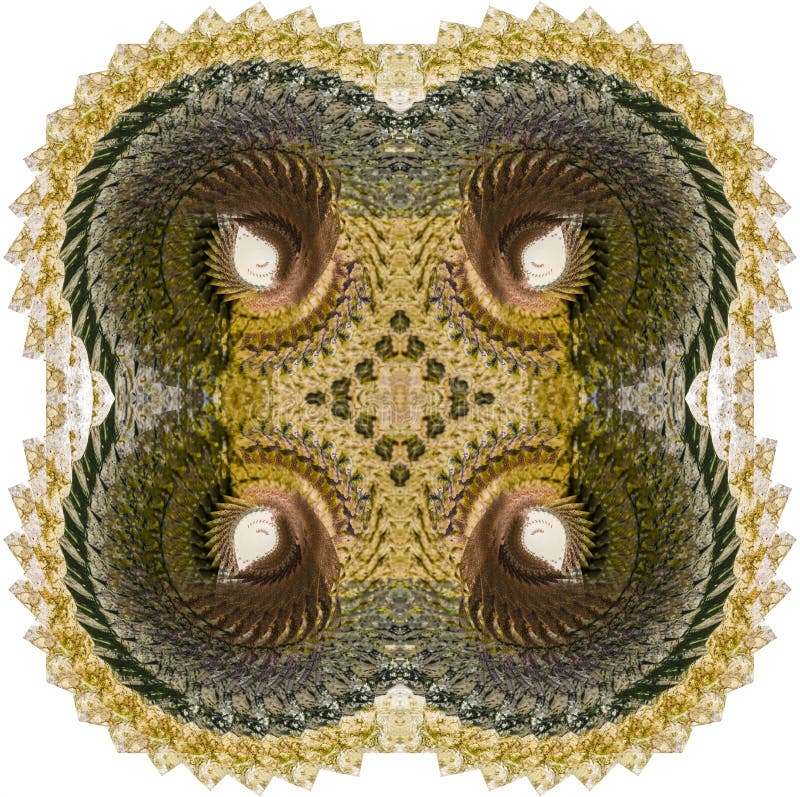 Combining Spheres Abstract - Square Shape Stock Image - Image of square ...