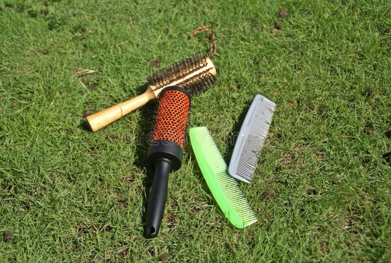 Combs and Brushes stock photo. Image of hair, hairdresser - 41739226