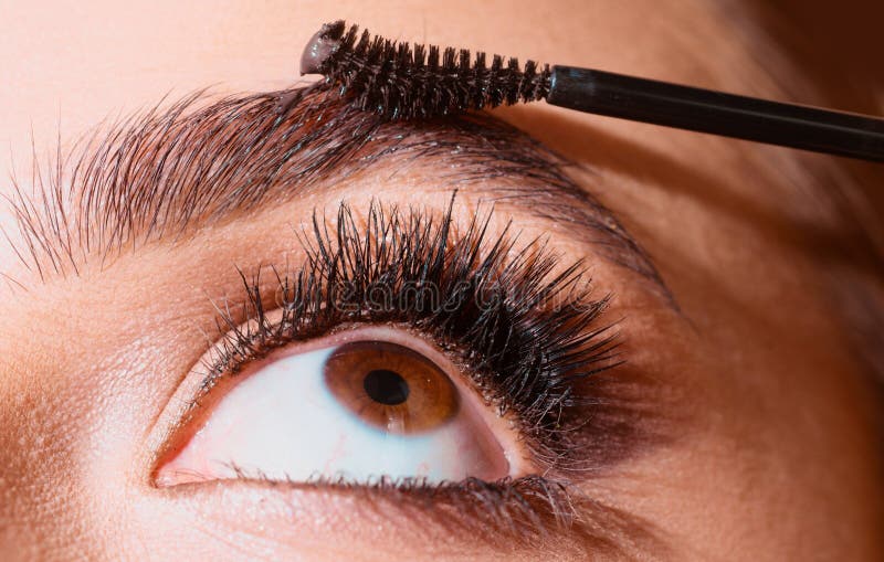 Combs Eyebrows with a Brush in a Beauty Salon. Woman with Long ...