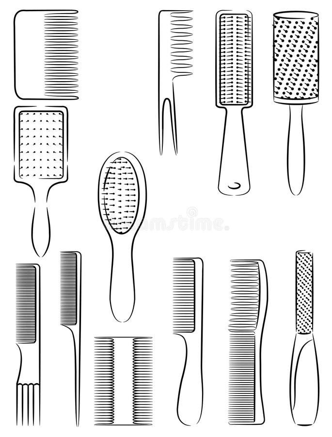 Vector Illustration of a Hair Types Chart Displaying All Types and ...