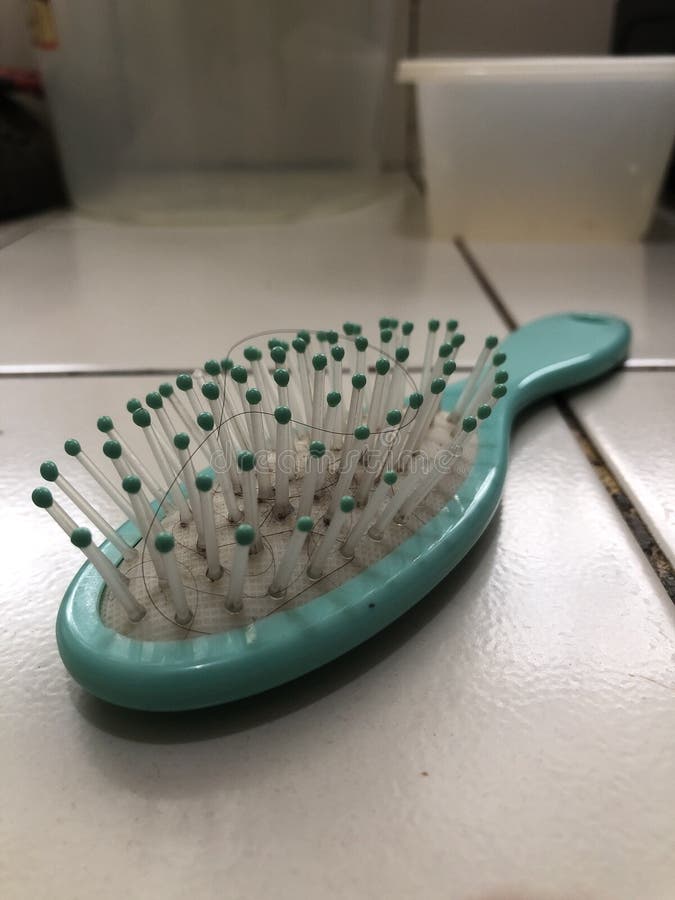 Combs stock photo. Image of dirt, circulation, removing - 379455652