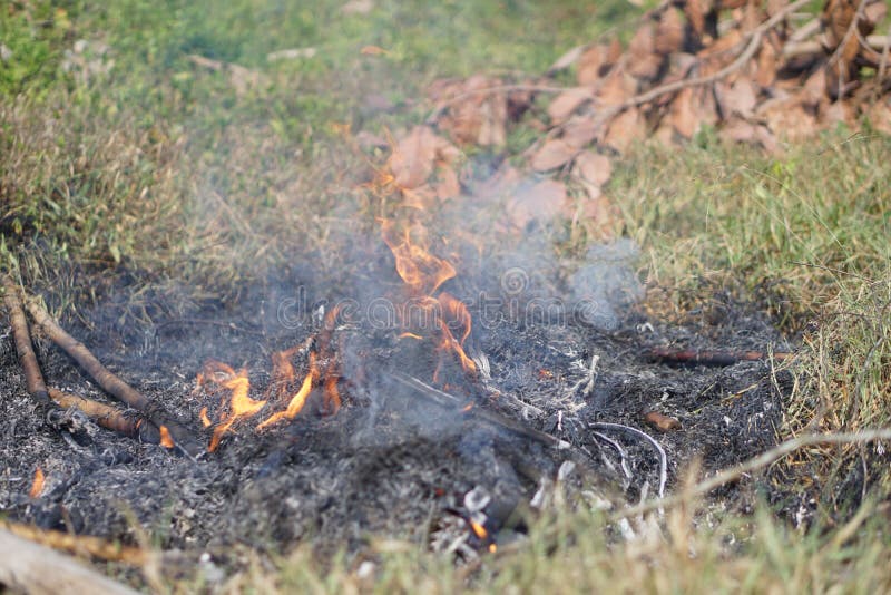 Burning Causes Pollution and Affects the Environment Somewhere in ...