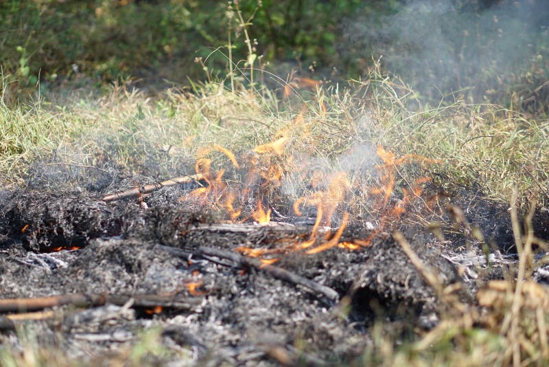 Burning Causes Pollution and Affects the Environment Somewhere in ...