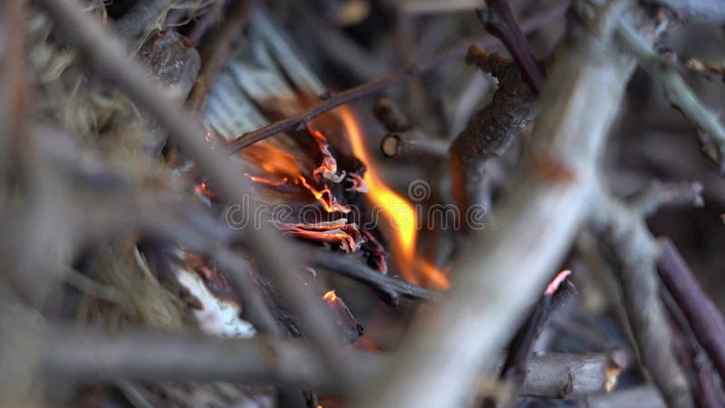 Combustion Paper in a Pile of Dry Branches. Combustion Branches Stock ...