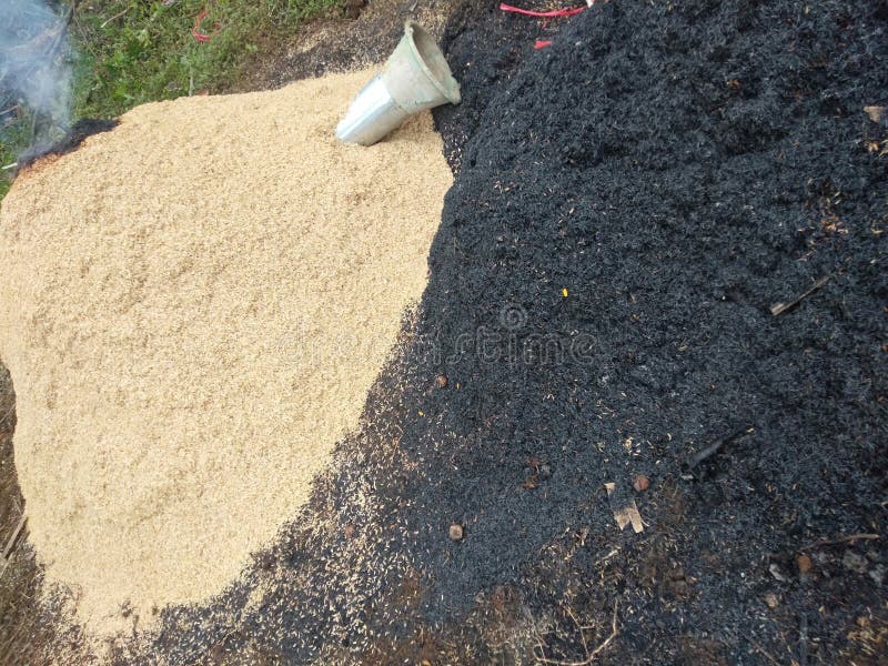 The Combustion Process in Making Rice Husk Charcoal Stock Image - Image ...