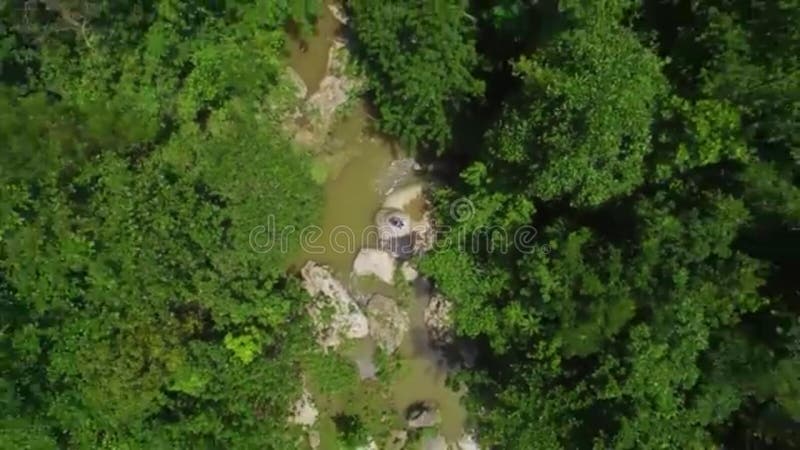 Come and Experience the Magic of Nature through this Picture Stock ...