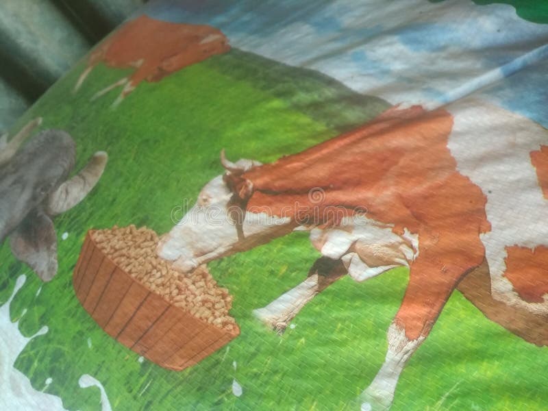 Comer Comida De Vaca Muy Bien Foto de archivo editorial - Imagen de ...