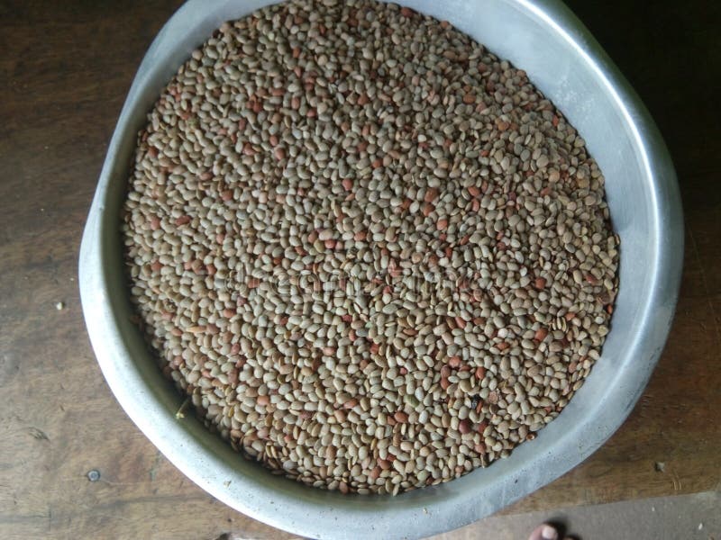 Kolath Stock Photos - Free & Royalty-Free Stock Photos from Dreamstime