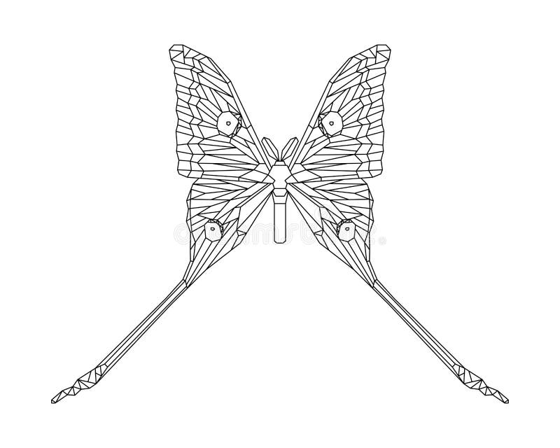 Comet Moth Stock Illustrations – 116 Comet Moth Stock Illustrations ...