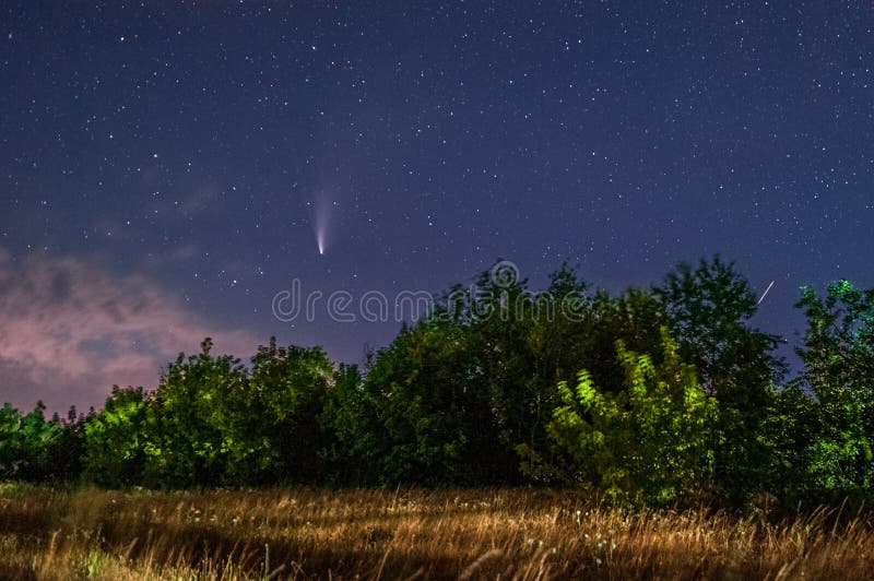 Comet Neowise in the Night Sky Over Trees and a Field Stock Photo ...