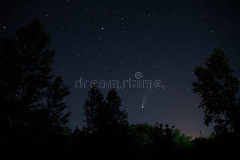 Comet NEOWISE between Trees View Outside the City Stock Photo - Image ...