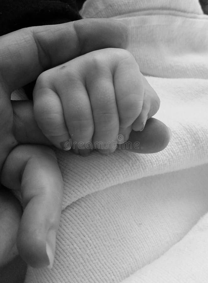 Little Hand stock image. Image of little, healing, hand - 121756575