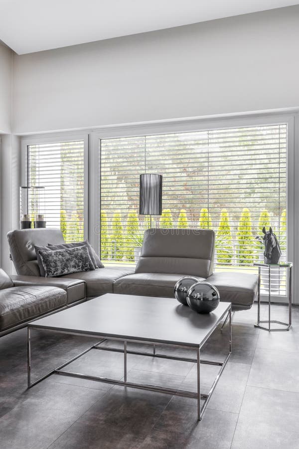 Leather Sofa in Modern Living Room Interior with Silver Decorations ...